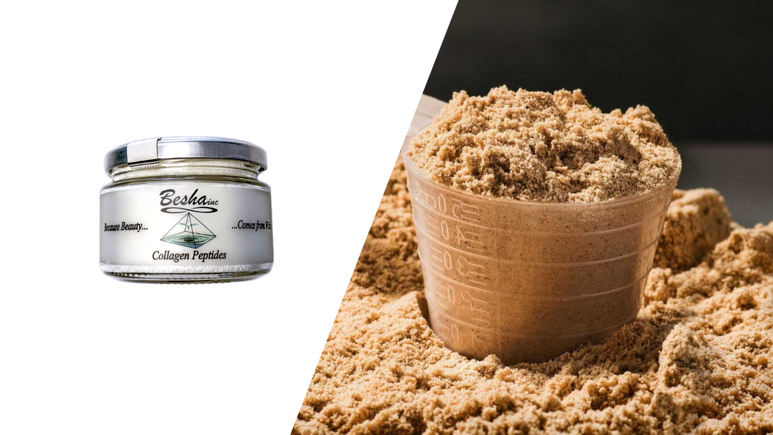 Can Collagen Replace Protein Powder? – Besha, Inc